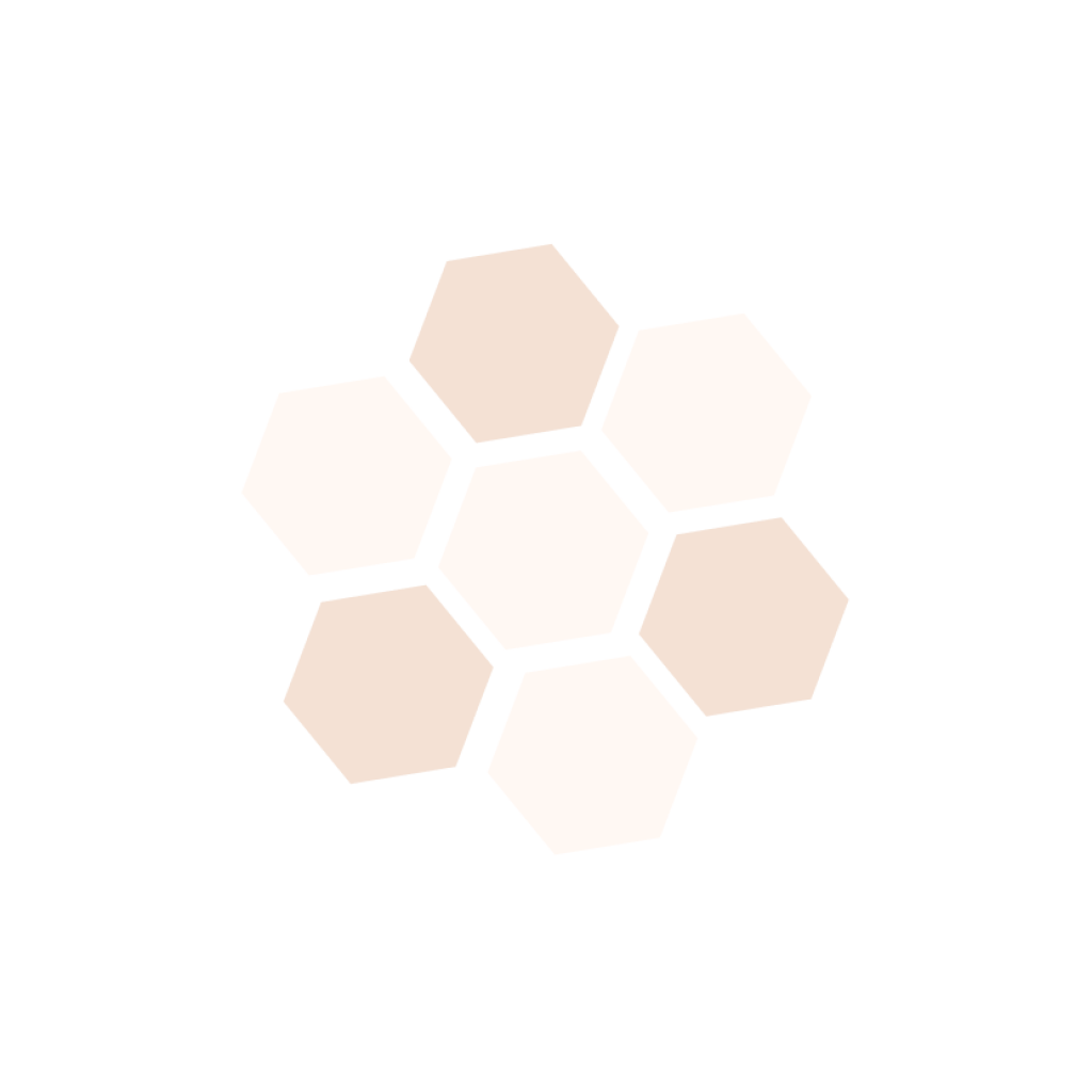 Web Development – TreeSol Technologies